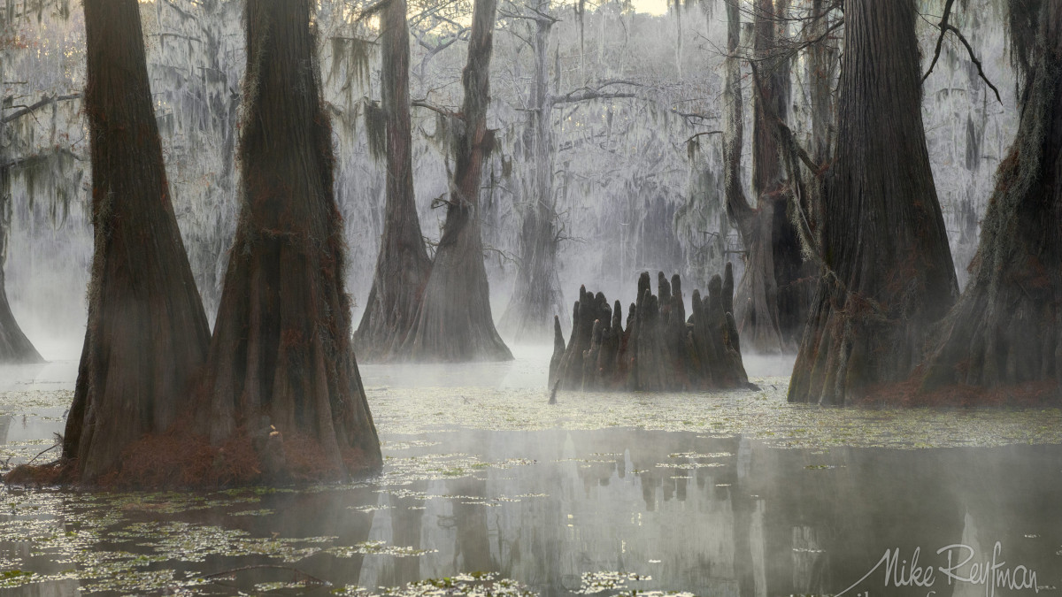 15 Best Places to Experience Cajun and Creole Culture Beyond New ...