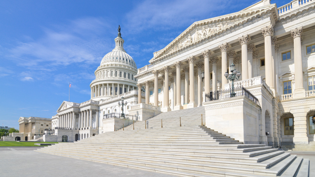 The Genius of America's Three Branches: How Checks and Balances Keep ...